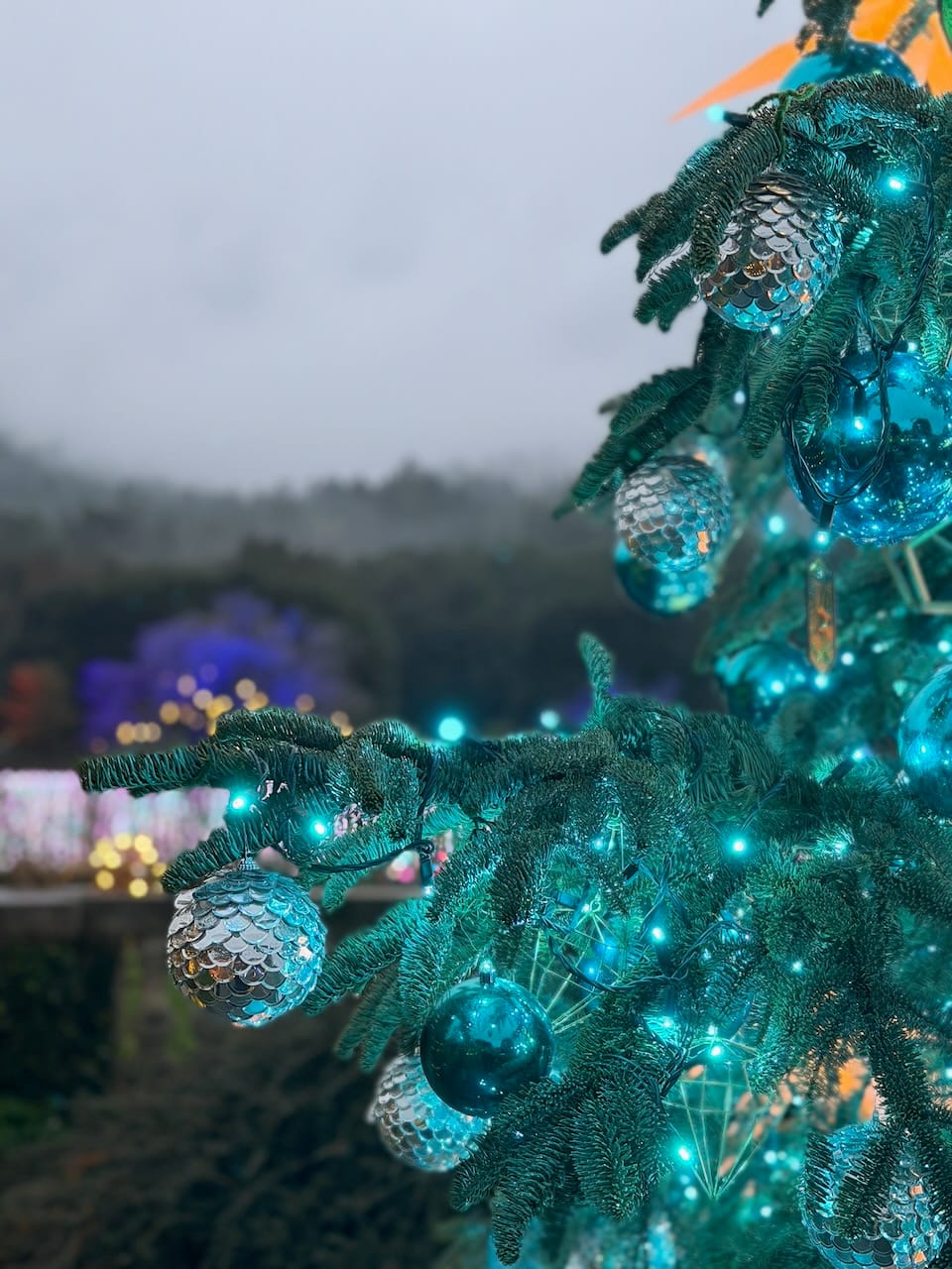 Holiday Lights at Filoli